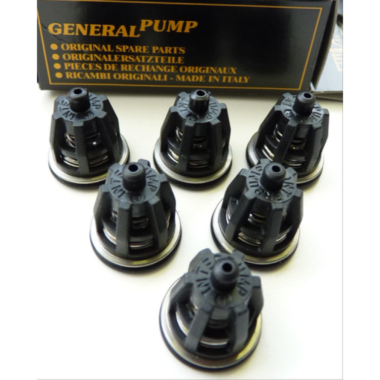 Interpump Kit 1 - Valves